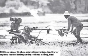 Govt to push ratooning, use of inbred rice seeds - PressReader