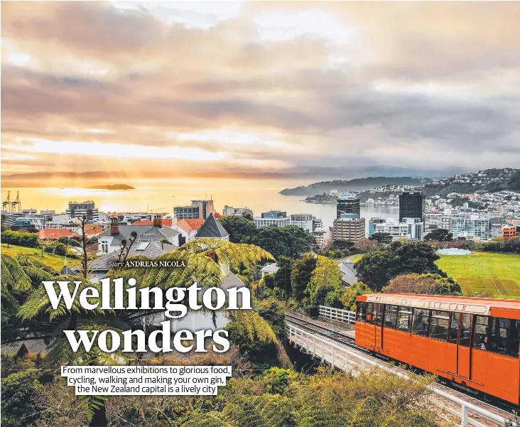 Wellington wonders - PressReader