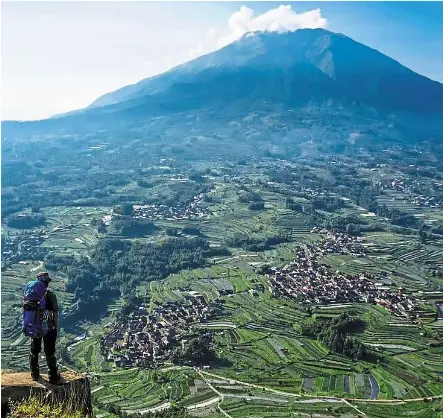 When nature calls big time in the wild - PressReader