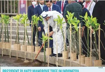 PRESIDENT PLANTS MANGROVE TREE IN INDONESIA - PressReader