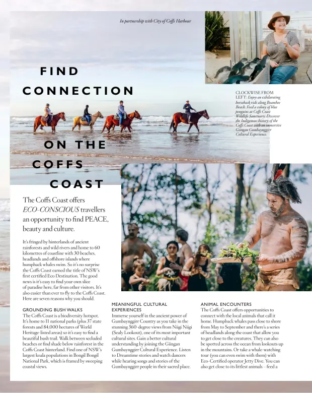 FIND CONNECTION ON THE COFFS COAST - PressReader