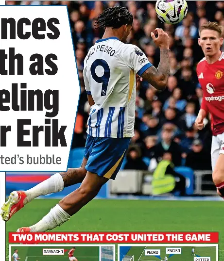 IT’S A SEASIDE SHOCKER A BRIGHTON ROCK TEN HAG - PressReader