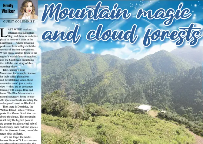 Mountain magic and cloud forests - PressReader