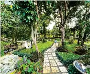 Nourish body, mind, and spirit for natural healing - PressReader