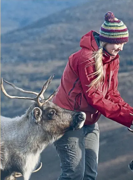 Lauren Taylor meets the reindeer – and handlers – getting ready for ...