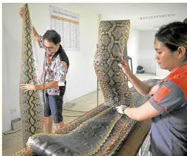 GRILLED PYTHON, ANYONE? A GREENER ALTERNATIV­E TO TRADITIONA­L MEATS ...