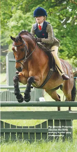 Artist paints a delightful picture - PressReader