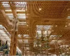 Schools, airports, high-rise towers: architects urged to get ‘bamboo ...