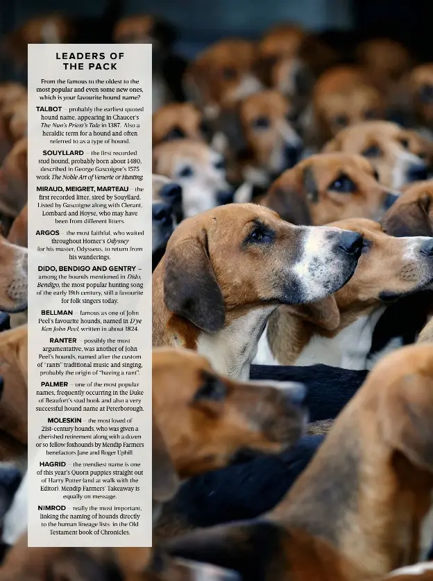 LEADERS OF THE PACK - PressReader