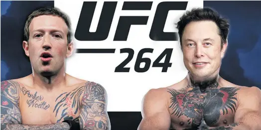 Tech bro-ism goes cage fighting - PressReader