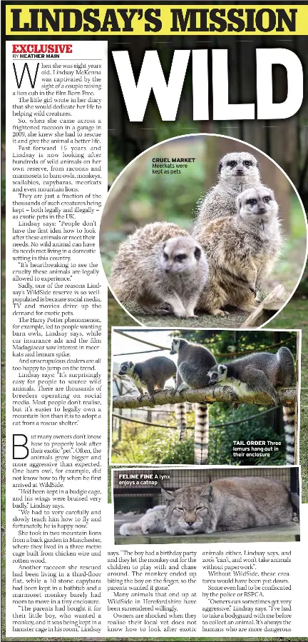 LINDSAY’S MISSION WILD TO GIVE EXOTIC ANIMALS HAVEN AT HEART - PressReader