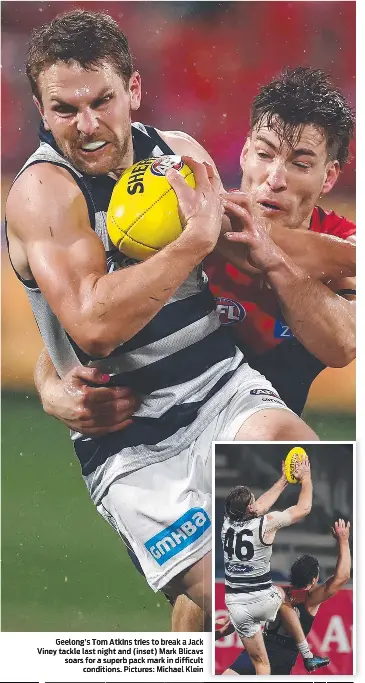 Cats’ blitz buries Dees - PressReader