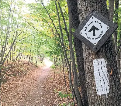 Miraculous Bruce Trail an inspiratio­n - PressReader