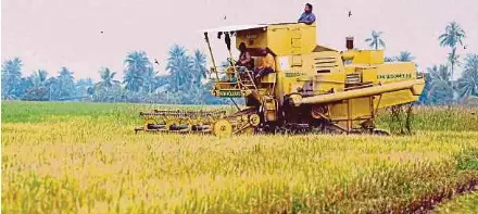 Pengeluara­n padi 5 musim lonjak hasil pesawah - PressReader