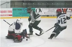 Woodland claims B Division title at Hamilton hockey tournament ...