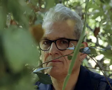 Blaine L. Reininger, post-punk e new wave nei suoi viaggi sonori ...