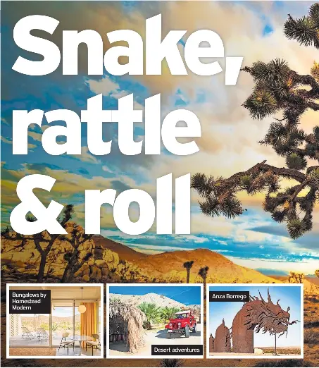 Snake, rattle & roll - PressReader