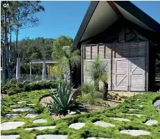 Instant, low-maintenanc­e ground cover - PressReader