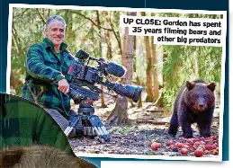 BEAR NECESSITIE­S - PressReader