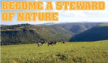 BECOME A STEWARD OF NATURE - PressReader