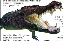 Sir Oswald’s croc shock on Crackerjac­k! - PressReader
