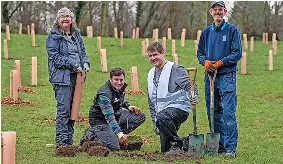 A greener way ahead as hundreds of trees planted at city park - PressReader