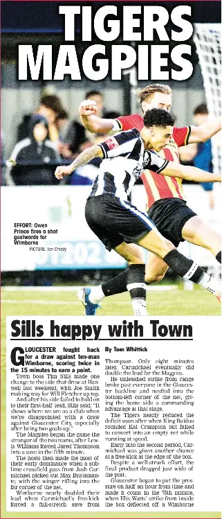 TIGERS MAGPIES LEAVE HURTING progress after draw - PressReader