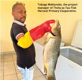 Fish farming gets a thumbs up - PressReader