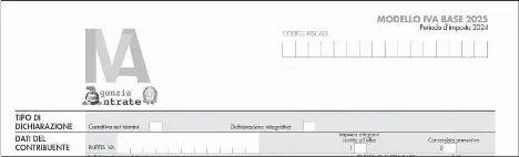 IVA: MODELLO BASE 2025 Istruzioni per la compilazio­ne - PressReader