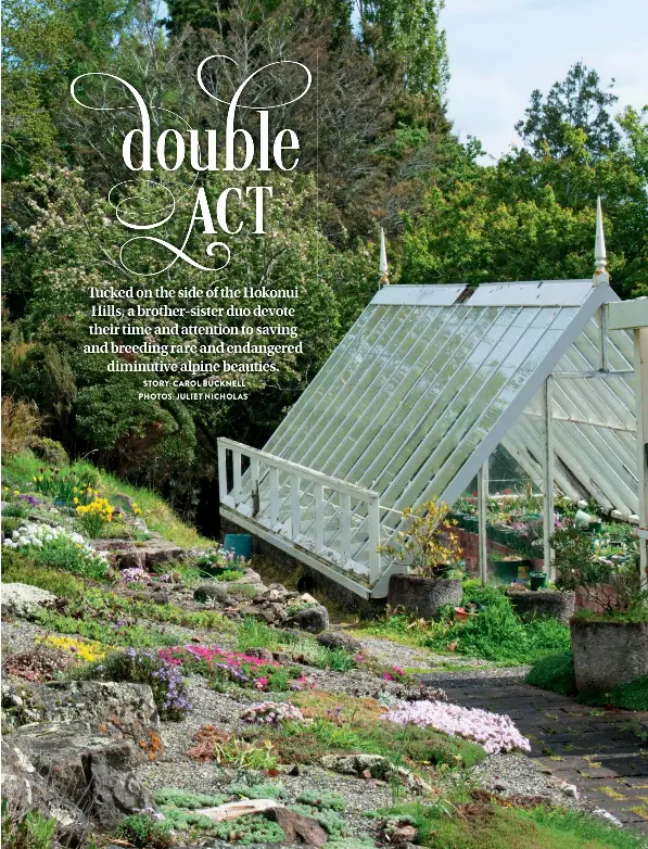 Double Act - PressReader