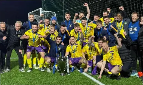 Wexford keep provincial title - PressReader