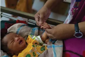 Threadbare facilities, high mortality, cats in the corridors: the ...