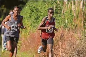 TENNESSEE SPORTS WRITERS ASSOCIATIO­N ALL-STATE TEAMS - PressReader