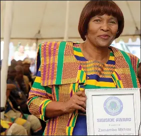 Inhlokomo kubungazwa uZamambo - PressReader