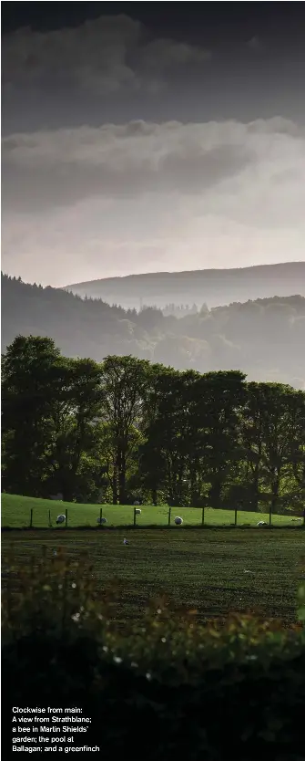 Lockdown photo essay - PressReader