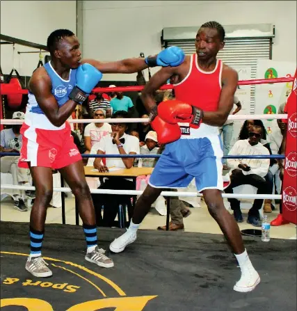 ‘Night of Prospects’ Boxing Bonanza tomorrow - PressReader