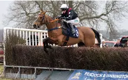 Hitting the high note - PressReader