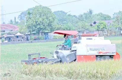 Grenade blast claims 3 - PressReader