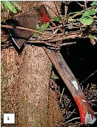 Two men were dismembere­d and burned in woodland, court is told ...