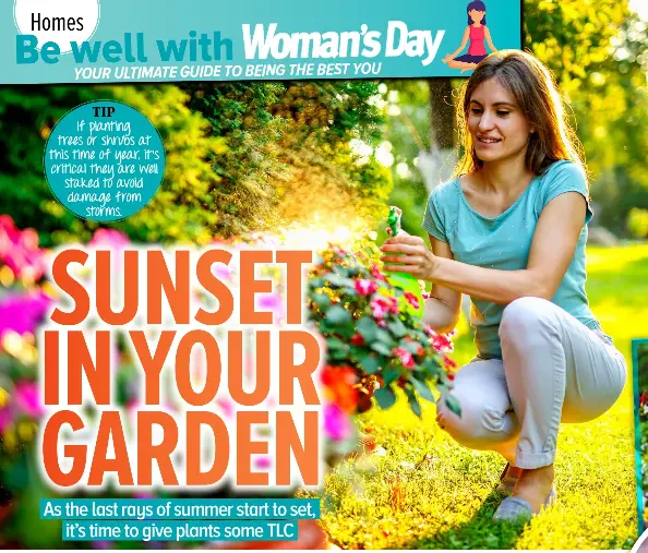 SUNSET IN YOUR GARDEN - PressReader
