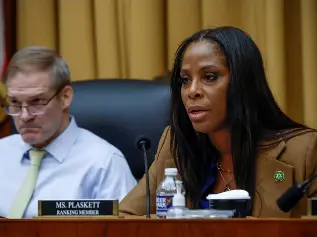 Epstein was texting US House member during 2019 hearing with Michael ...