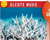 GROOTSTE DEEL VAN GROOT KORAALRIF AL GEBLEIK - PressReader