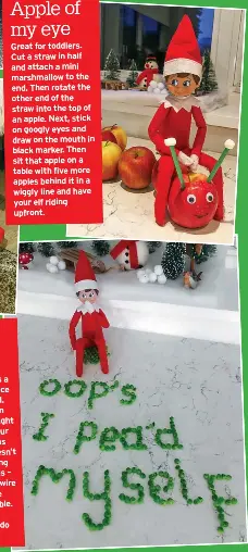 Apple of my eye - PressReader