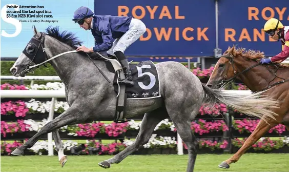 Oz colt in NZ's richest race - PressReader