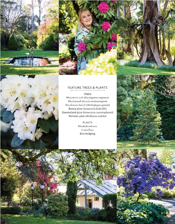 FEATURE TREES & PLANTS - PressReader