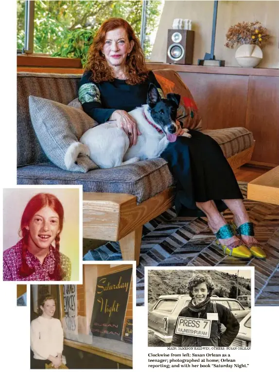Profile writer Susan Orlean turns her gaze onto her own career ...