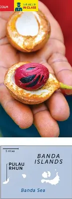 The New York Times: “Manhattan or Pulau Rhun? In 1667, Nutmeg Made the ...