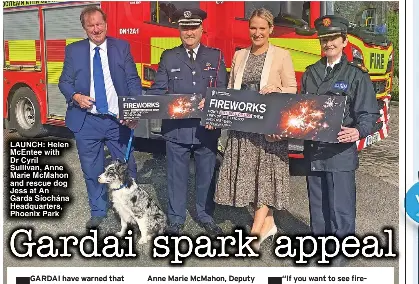 Gardai spark appeal - PressReader