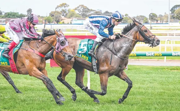 Metro milestone for Geelong races - PressReader