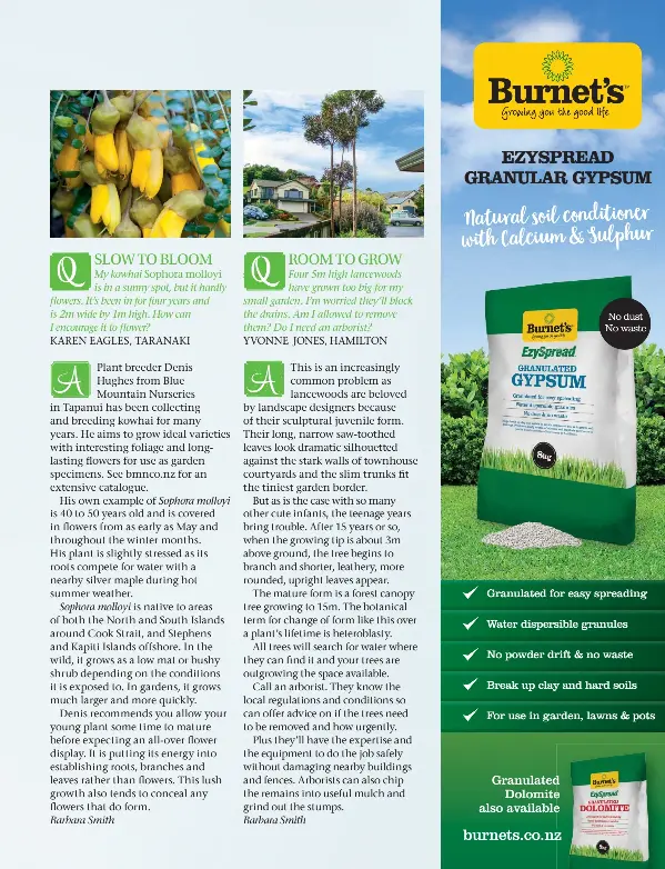 Ask our experts - PressReader